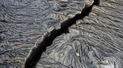 The Massive 2017 Mexican Earthquake Split A Tectonic Plate In Two And