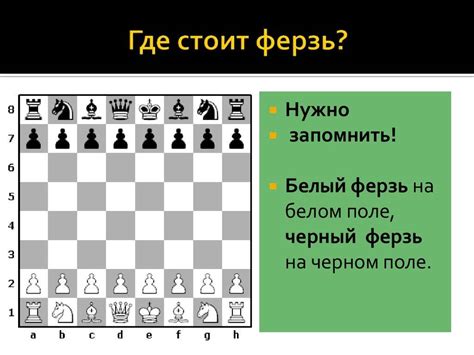 Где Должен Стоять Король В Шахматах Фото Telegraph