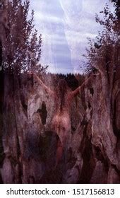 43 Bark Ass Royalty Free Images Stock Photos Pictures Shutterstock