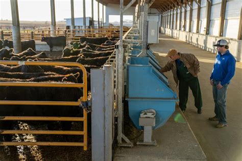 Sdsu Extension Precision Livestock Field Day Canceled