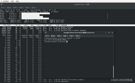 Linux下进程的cpu配置与线程绑定linux线程绑定cpu核 Csdn博客
