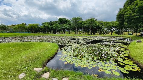 林宏吉 林宏吉 Added A New Photo