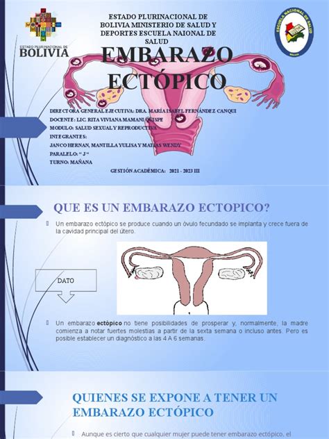 Embarazo Ectópico Causas Síntomas Y Tratamiento Pdf El Embarazo
