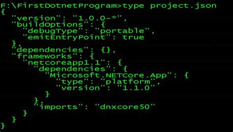 Deep Dive Into NET Core