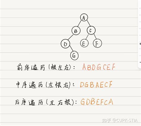 计算机二级公共基础2 知乎