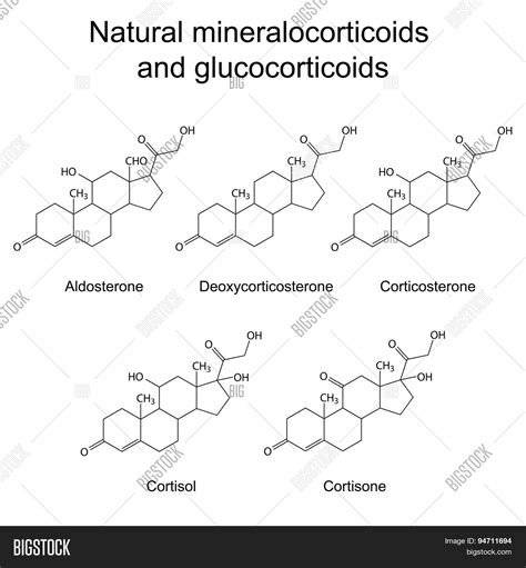 Aldosterone Structure