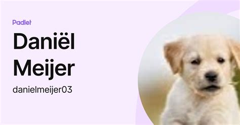 Daniël Meijer Danielmeijer03 Profile Padlet