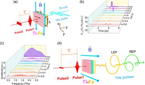 Dual‐pulses Excitation Caused Subpicosecond Ultrafast Thz Polarization