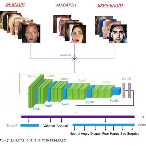 Performances Of Different Network ResNet 50 DenseNet 121 When Used