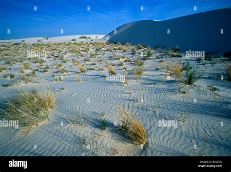 White Sands National Monument Tularosa Basin Public Land Alamogordo
