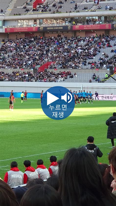 팔로세비치 프리킥 득점 국내축구 에펨코리아