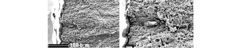 Carbide In Specimens Of Steel Q345 In Different Scales Download