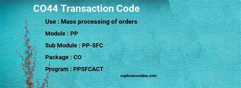 Co44 Sap Tcode For Mass Processing Of Orders