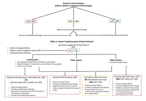 Summary Of The Esmo 2020 Cardiac Imaging Guidelines Download