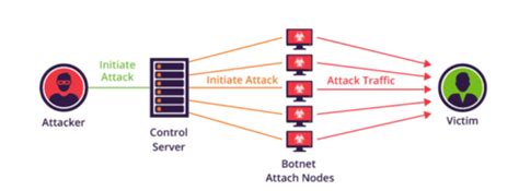 Sbt 2 Malware Analysis Flashcards Quizlet