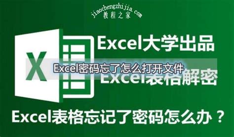 Excel密码忘了怎么打开文件 Excel忘记密码的解决方法 Excel 教程之家