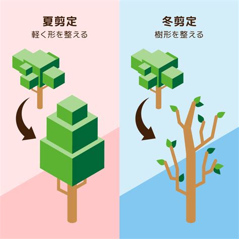 剪定方法の種類を解説！強剪定・透かし剪定・枝おろしって何が違うの？ 剪定・伐採・草刈りなど庭手入れ専門造園業者｜植木屋smileガーデン