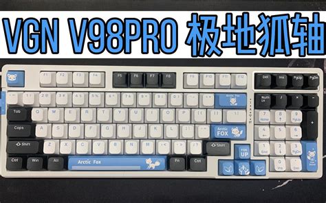 Vgn V Pro