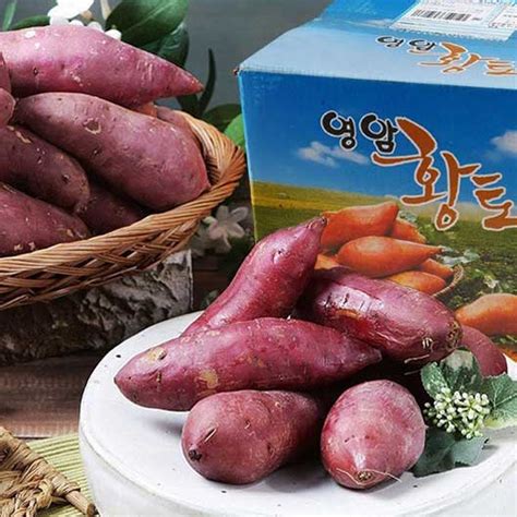무농약 세척 햇 꿀밤 고구마 5kg 실중량 실속형 외 사이즈 골라담기 티몬