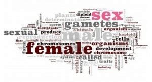 Sex In The Cloud An Interview With Sex Blogger Professor Stef Woods 1X57