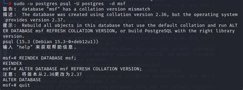 Msf连接postgresql时因排序规则版本不匹配导致无法连接 哔哩哔哩