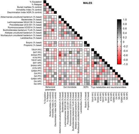 Sex Specific Effects Of Synbiotic Exposure In Mice On Addictive Like