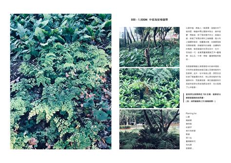 太研設計吳書原作品臺中花博后里森林園區地景設計x策展 欣傳媒XINMEDIA 最懂生活的咖