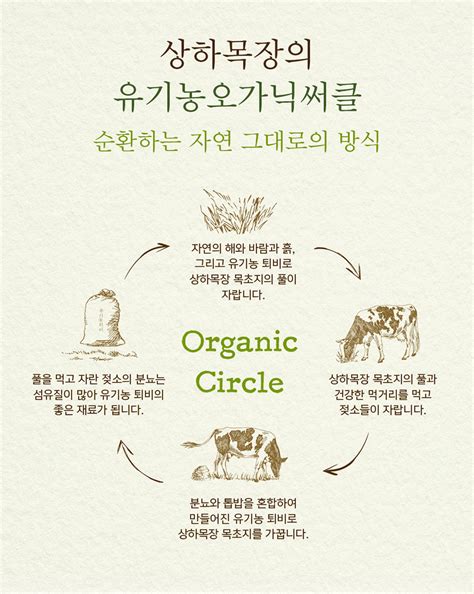 상하목장 유기농 우유 125ml 24팩 흰우유 딸기 바나나 코코아상품상세동원몰