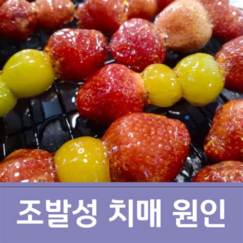 조발성치매 원인 영츠하이머 김창옥 네이버 블로그