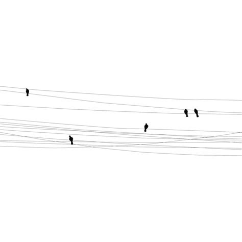 Premium Vector Birds On Wires White Background
