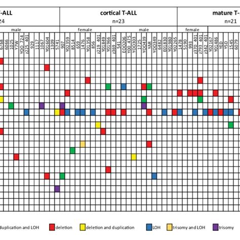 Frequencies Of Structural Chromosomal Abnormalities In 86 T All Cases
