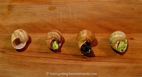 Escargots au beurre persillé Petits Plats Entre Amis