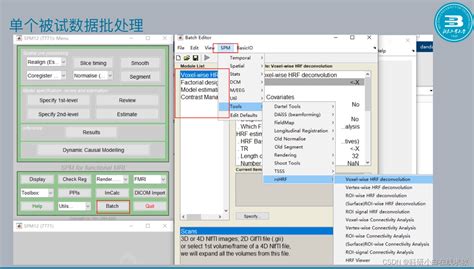 Spm批量处理spm批处理 Csdn博客