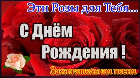 С Днём Рождения Шикарной женщине Красивое поздравление с днем рождения Эти Розы для Тебя