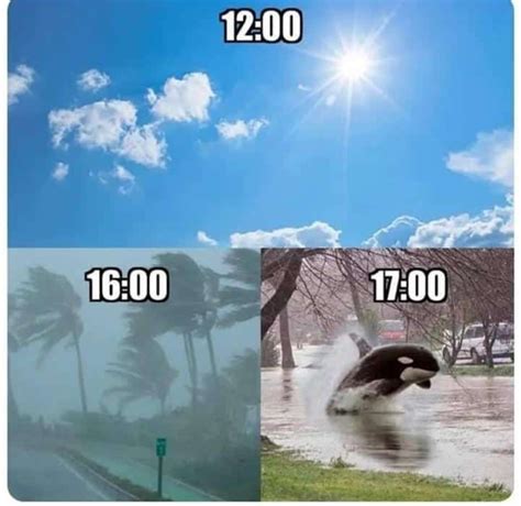 Que Tá Acontecendo Meme By Lunileloparaverso Memedroid