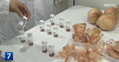 양파 껍질 버리지 마세요…“면역력 높이고 스트레스 낮춰”