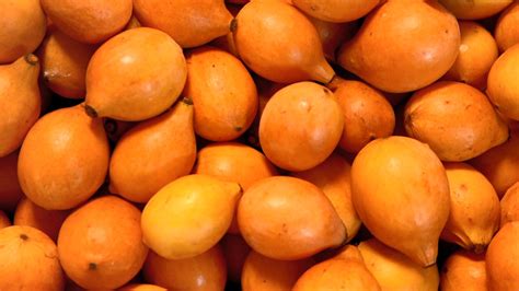 Achachairu A Fruta Exótica Da Bolívia Que Começa A Ganhar Espaço No