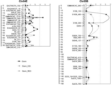The Profiling Of Conditional Qtl Analysis Along Maternal Chromosome 4