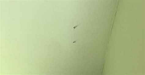 Ceiling Holes Album On Imgur