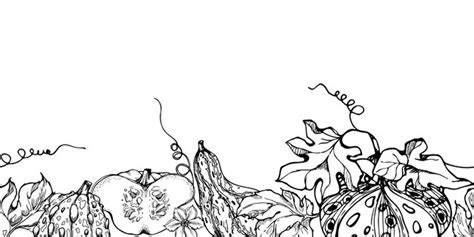 Premium Vector Hand Drawn Ink Vector Pumpkin Gourd Squash Flower