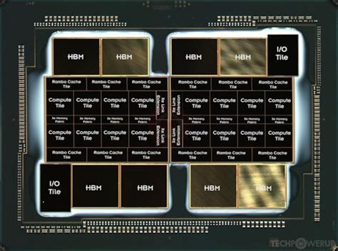 Intel Ponte Vecchio Gpu Specs Techpowerup Gpu Database