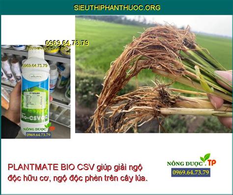 Plantmate Bio Csv L N Tr I M U S C P Ng T Qu M Ch I Ra R