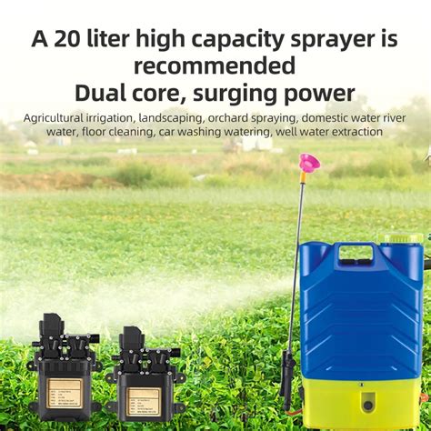 Water Pump 12v Water Pump Pressure Pump Car Pressure 8 0lpm Motor 12v Water Dual Motor 12v Water