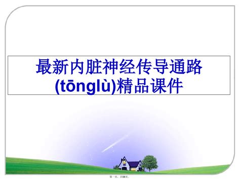 最新内脏神经传导通路精品课件 word文档在线阅读与下载 免费文档