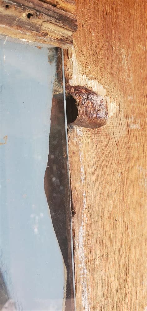 Glass Pane Has Gaps In Old Door Rhomemaintenance