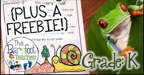 Spring Themed Reading Comprehension Pack Plus A FREE DOWNLOAD The Barefoot Teacher