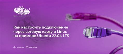 Как настроить подключение через сетевую карту в Linux на примере Ubuntu
