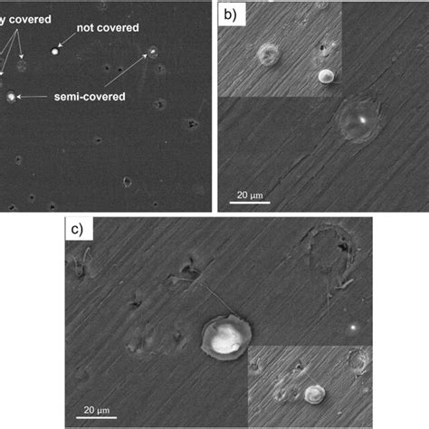 Sem Illustration Bse Micrographs Of The Peek Substrate Surface After