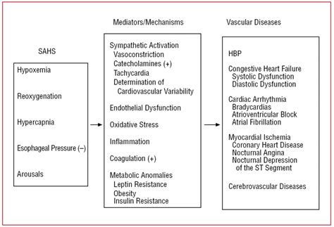 Sleep Apnea Hypopnea Syndrome And The Heart Revista Española De