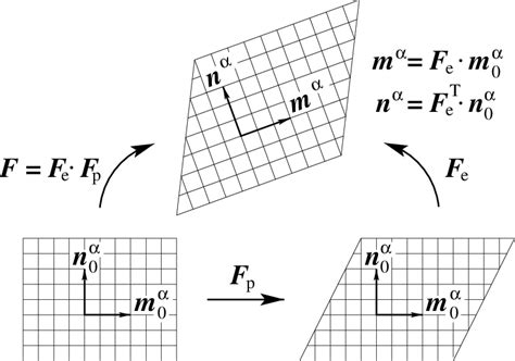 Multiplicative Decomposition Of The Deformation Gradient Download
